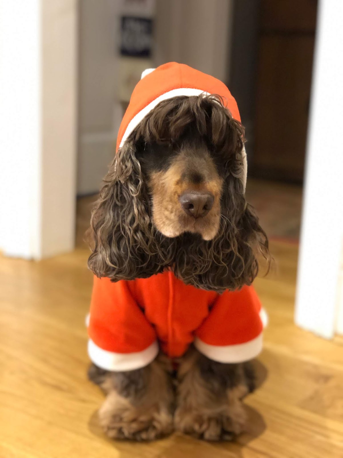 Sam Watts - Composer Blog