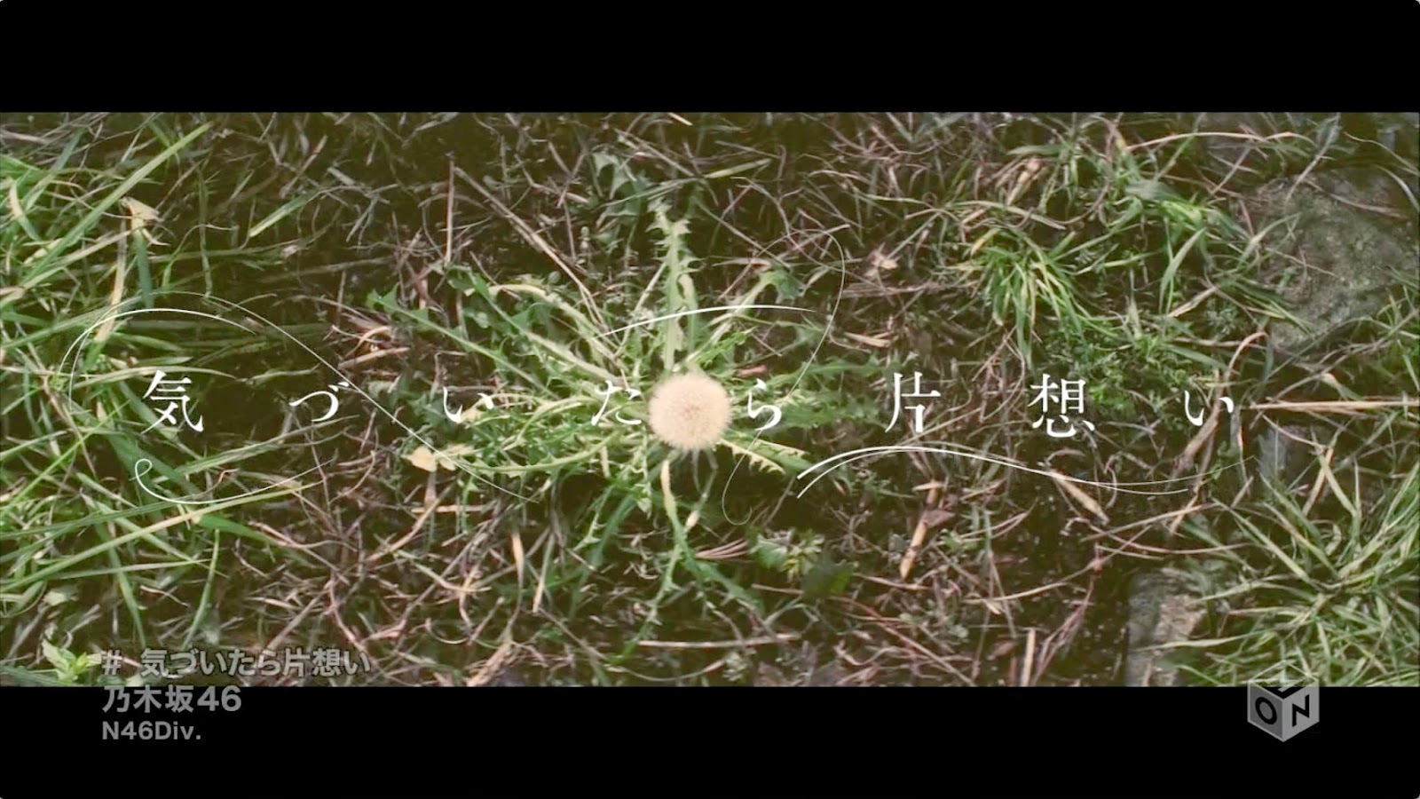 Nia's Wonderland: The Surprisingly Sad Story of a Dandelion