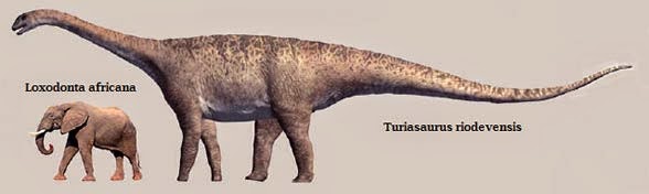 Fauna prehistórica descubiertas en España - Resolviendo la incógnita