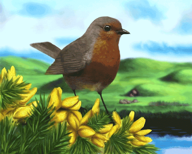 ® Colección de Gifs ®: IMÁGENES DE GIFS VARIADOS