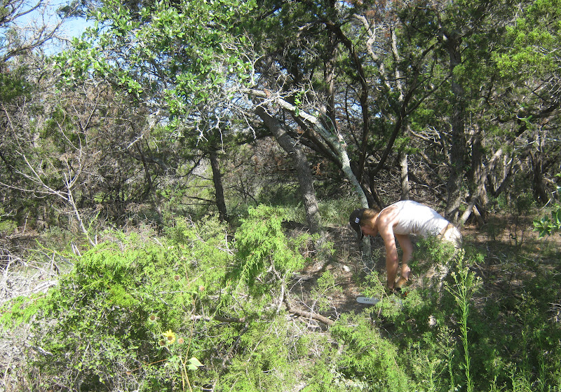 on a hays county hill: We are cedar choppers!