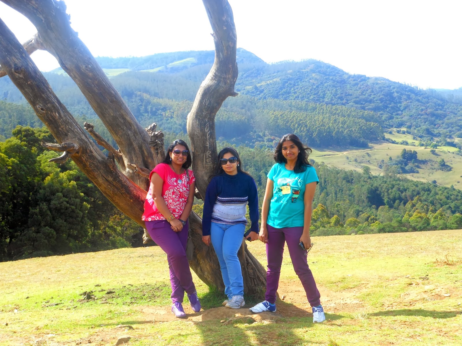 Sunshine: Mysore,Masinagudi,Ooty,Srirangapatnam Trip