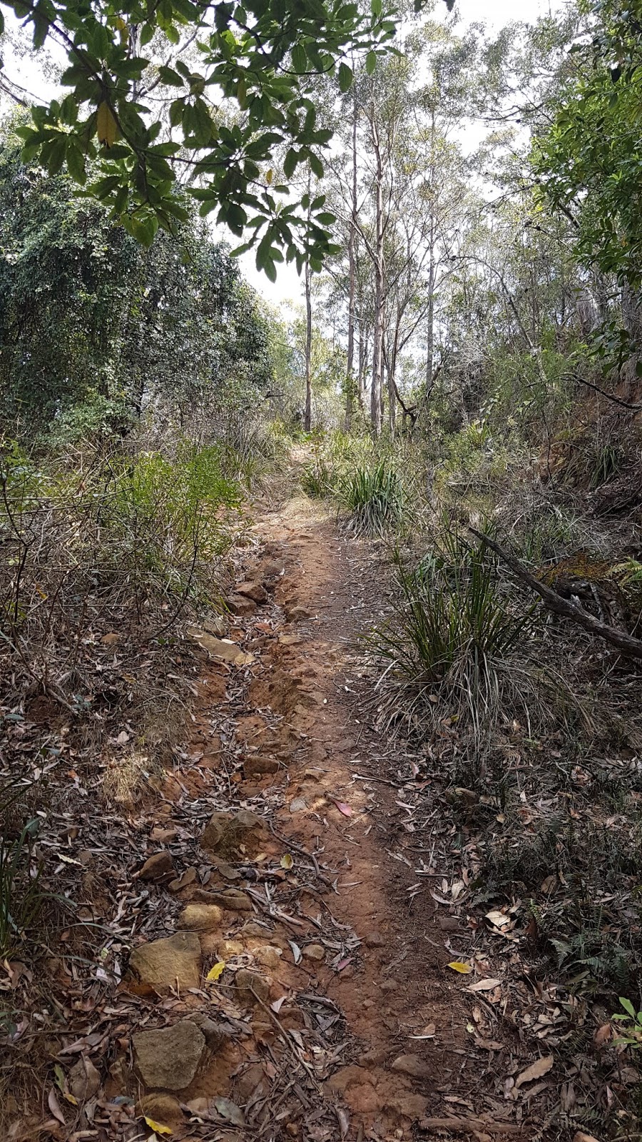 Steventure: Bong Bong Pass