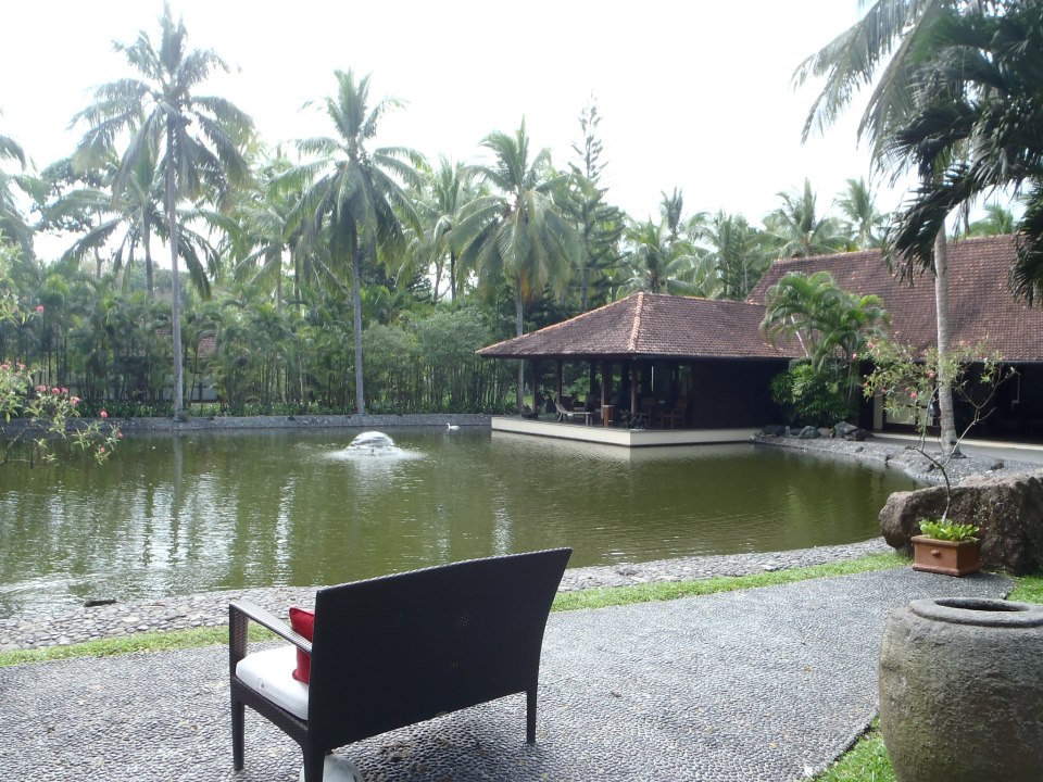 Smart Backpacker: The Farm (at San Benito, Lipa City, Batangas)