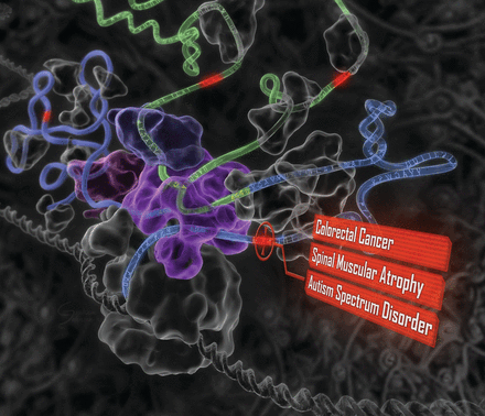 Deep Genomics applying Deep Learning AI to genomics | NextBigFuture.com