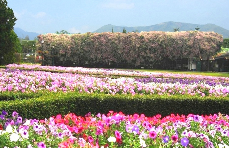 Paling Populer 11+ Gambar Taman Bunga Di Bogor - Gambar Bunga Indah