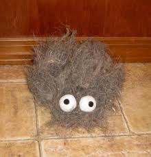 THE TOOL STORE BLOG: Battling the DUST MONSTERS