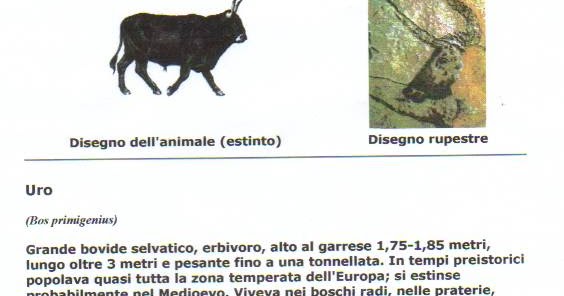 Il Tempio del Sapere: Un animale estinto: Uro