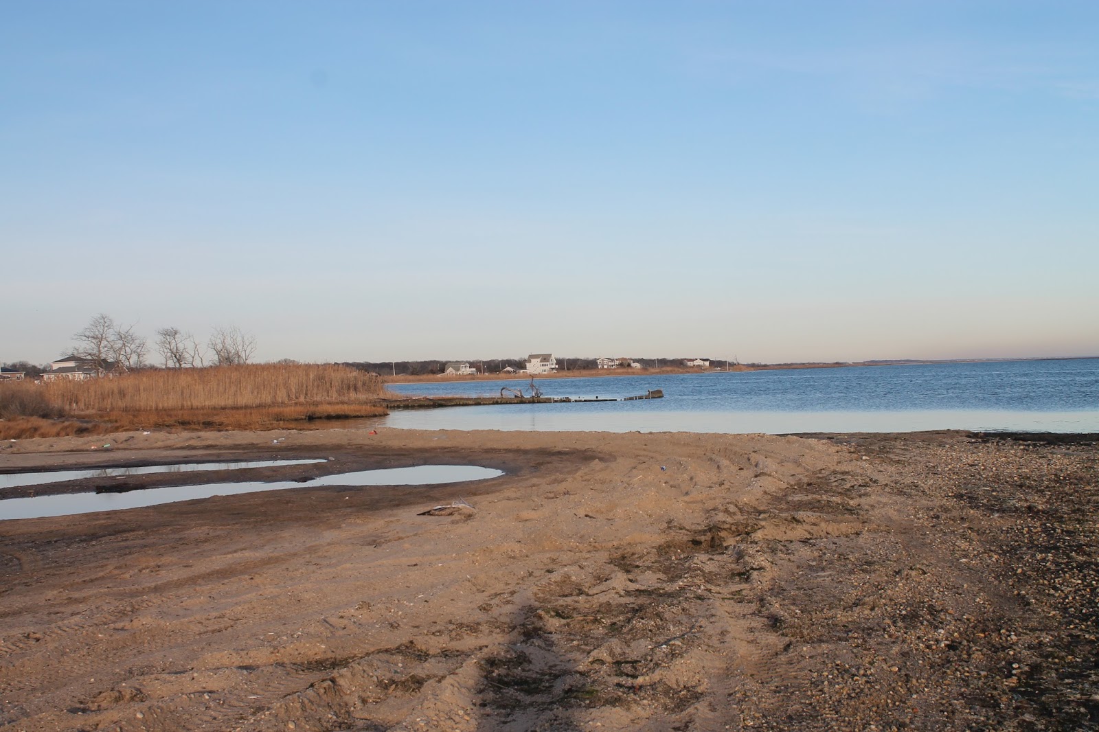 The Natural World of Mastic Beach