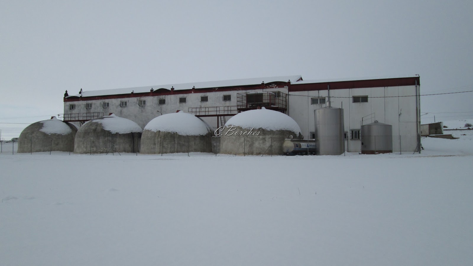 C.Borches Photography: Nevada Enero 2017 en Alborea (Albacete)