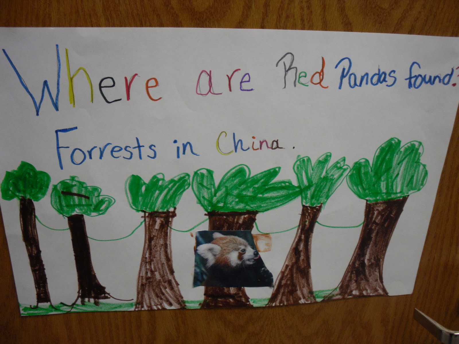 How Can We Save Endangered Animals?: Making Posters