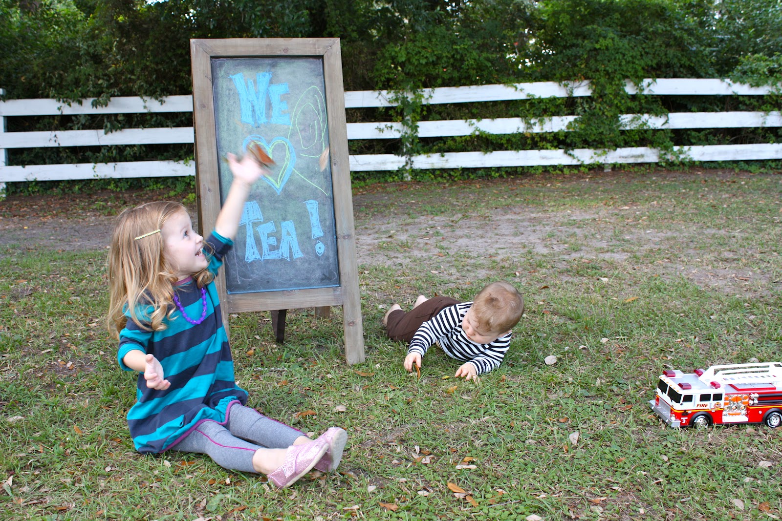 Lilly & Fletcher For Tea Collection - Look Linger Love Look Linger Love