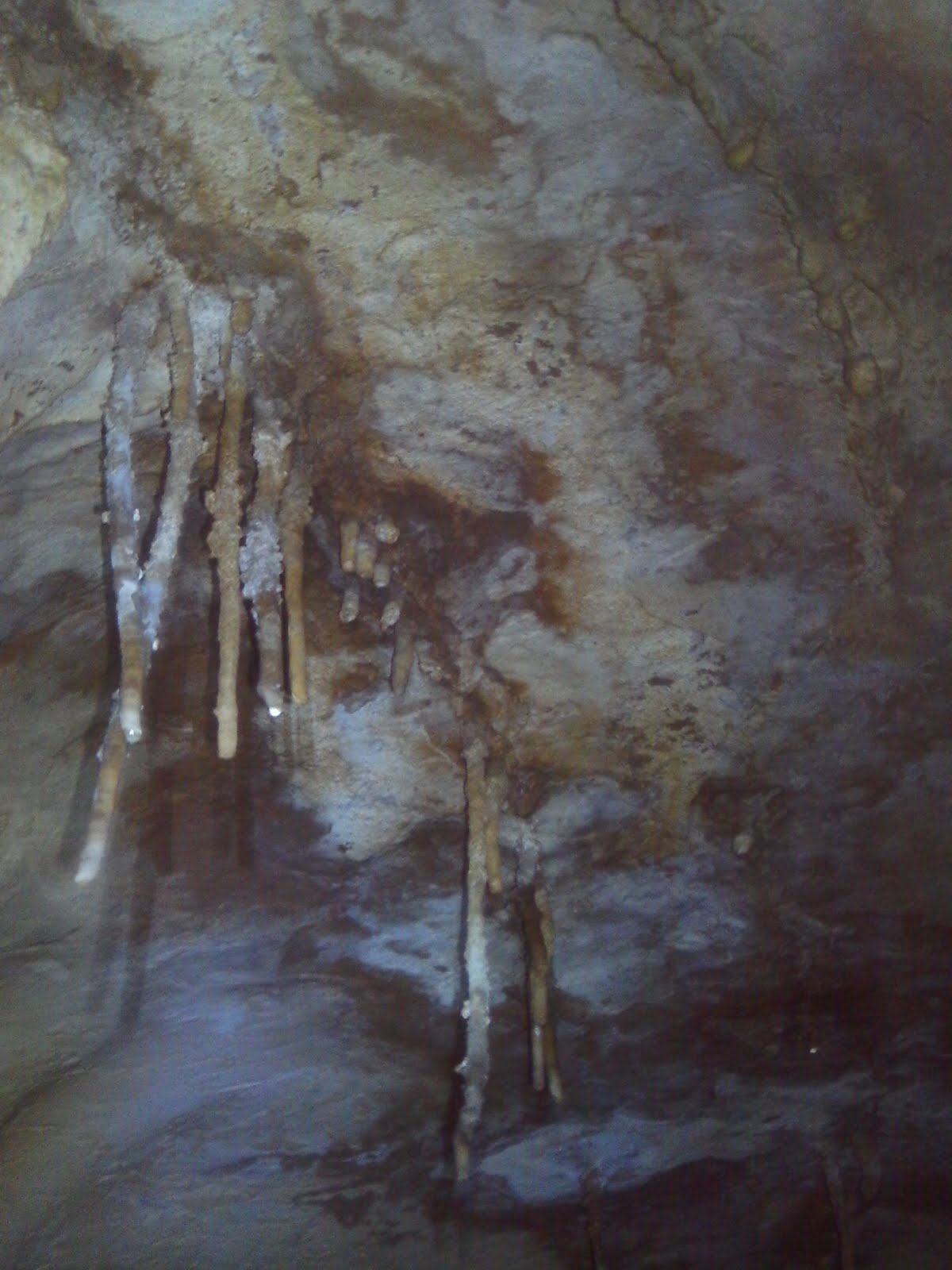 The Life of a Caver: Miller's Cave