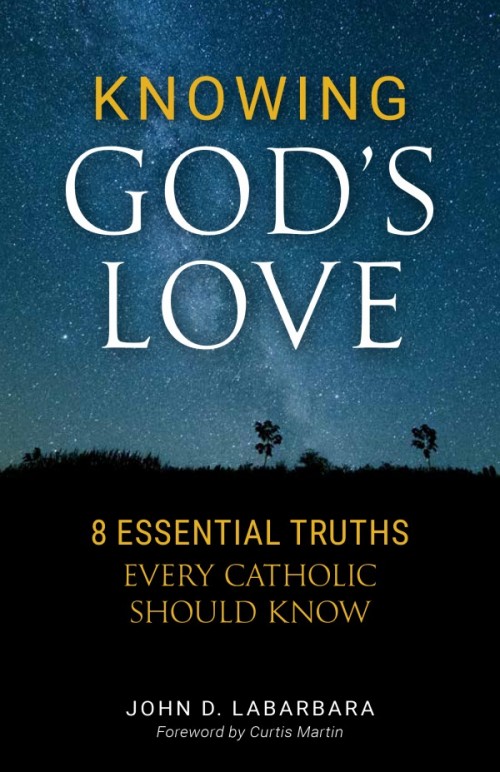 Stuart's Study: Knowing God's Love (Sophia Institute Press)