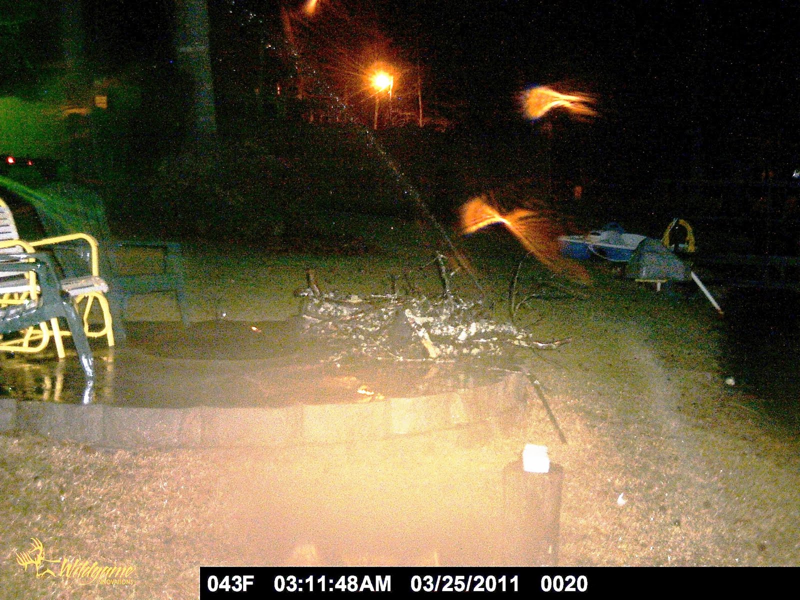 Phantoms and Monsters - Real Eyewitness Cryptid Encounter Reports