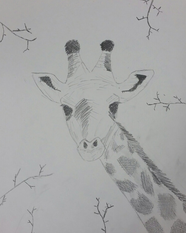 Jerdee's Art Classes: Drawing A | Stippling, Hatching, Crosshatching ...