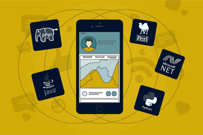 Newzbox Programming Languages For Social Networks Which One To Choose