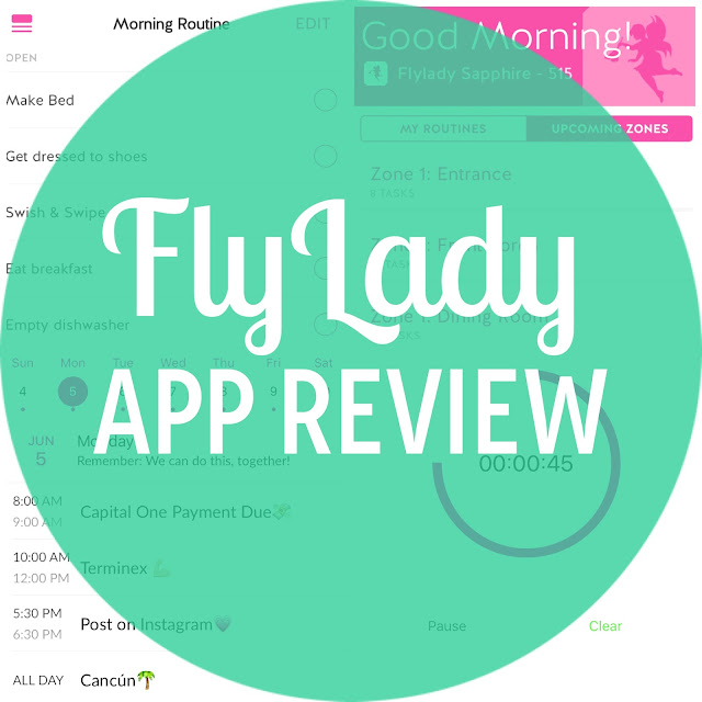 Organized Charm: FlyLady App Review