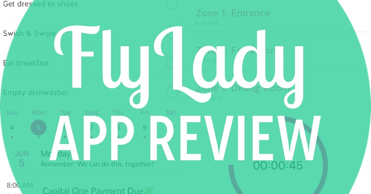 Organized Charm: FlyLady App Review