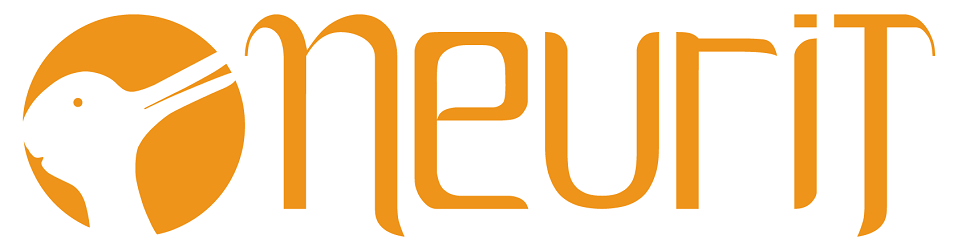 Neurit: gestión de riesgos operacionales (riesgo operativo) y mejoramiento.