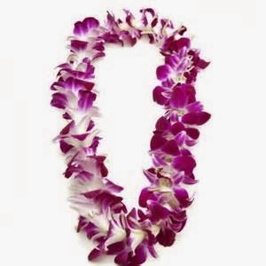 TOKO BUNGA CIKINIFLORIST - JAKARTA: BUNGA KALUNG CIKINIFLORIST