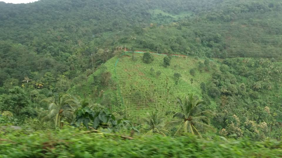 Vazhamala the unexplored spot in Kannur - avalshe98