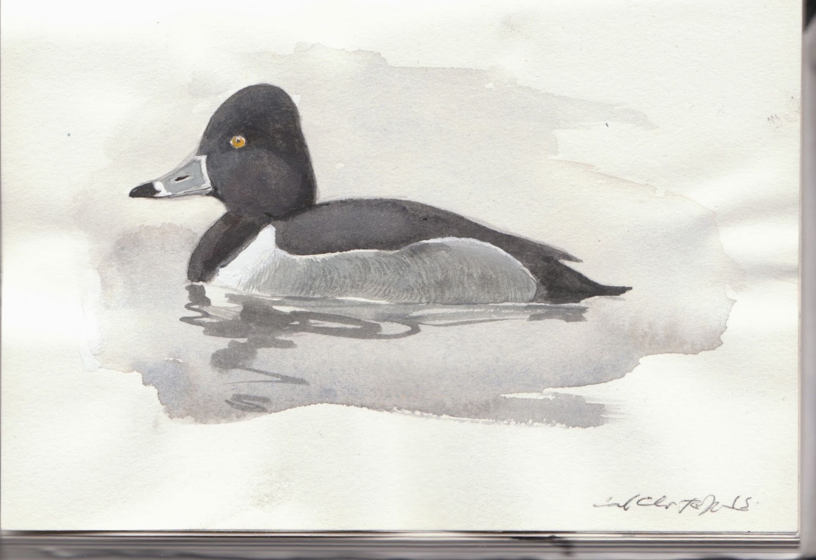 CARL CHRISTIAN TOFTE BLOG: CARL ÆDLER