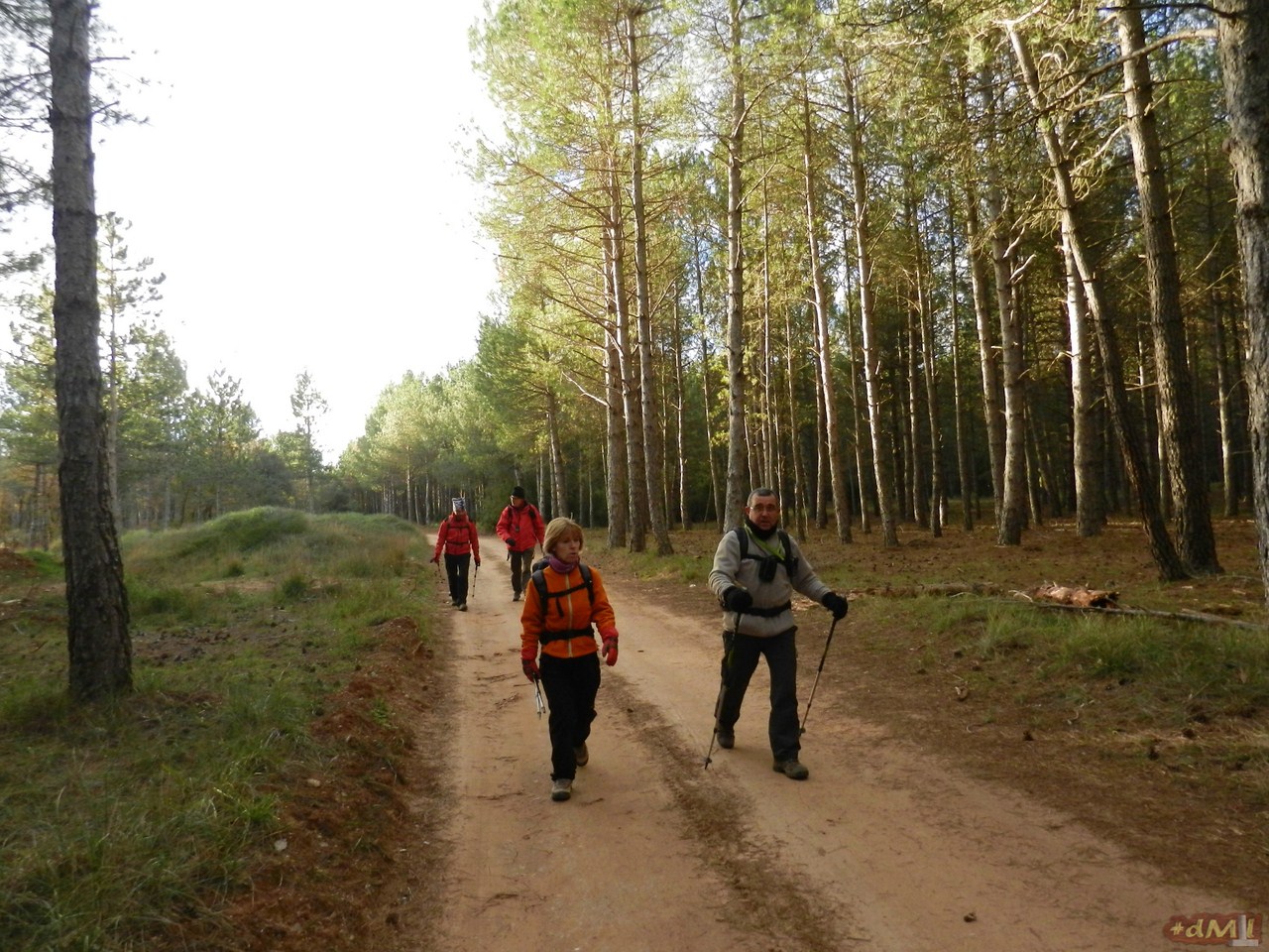 0086 - Vértices Geodésicos C.V.: Mazorral (1113 m) / A+ 613 m / 23,36 ...