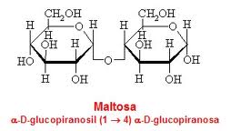 Biología 2º Bach.: Glúcidos