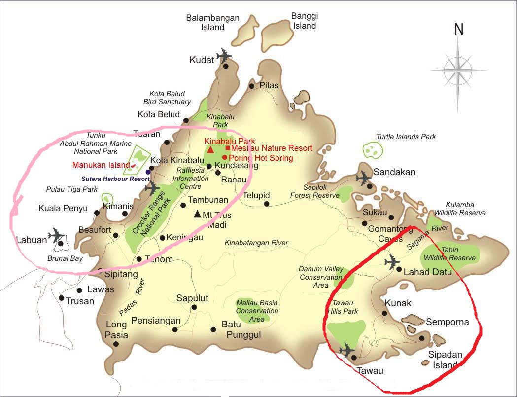 Sabah,kota kinabalu | 寒蝉；涵谈