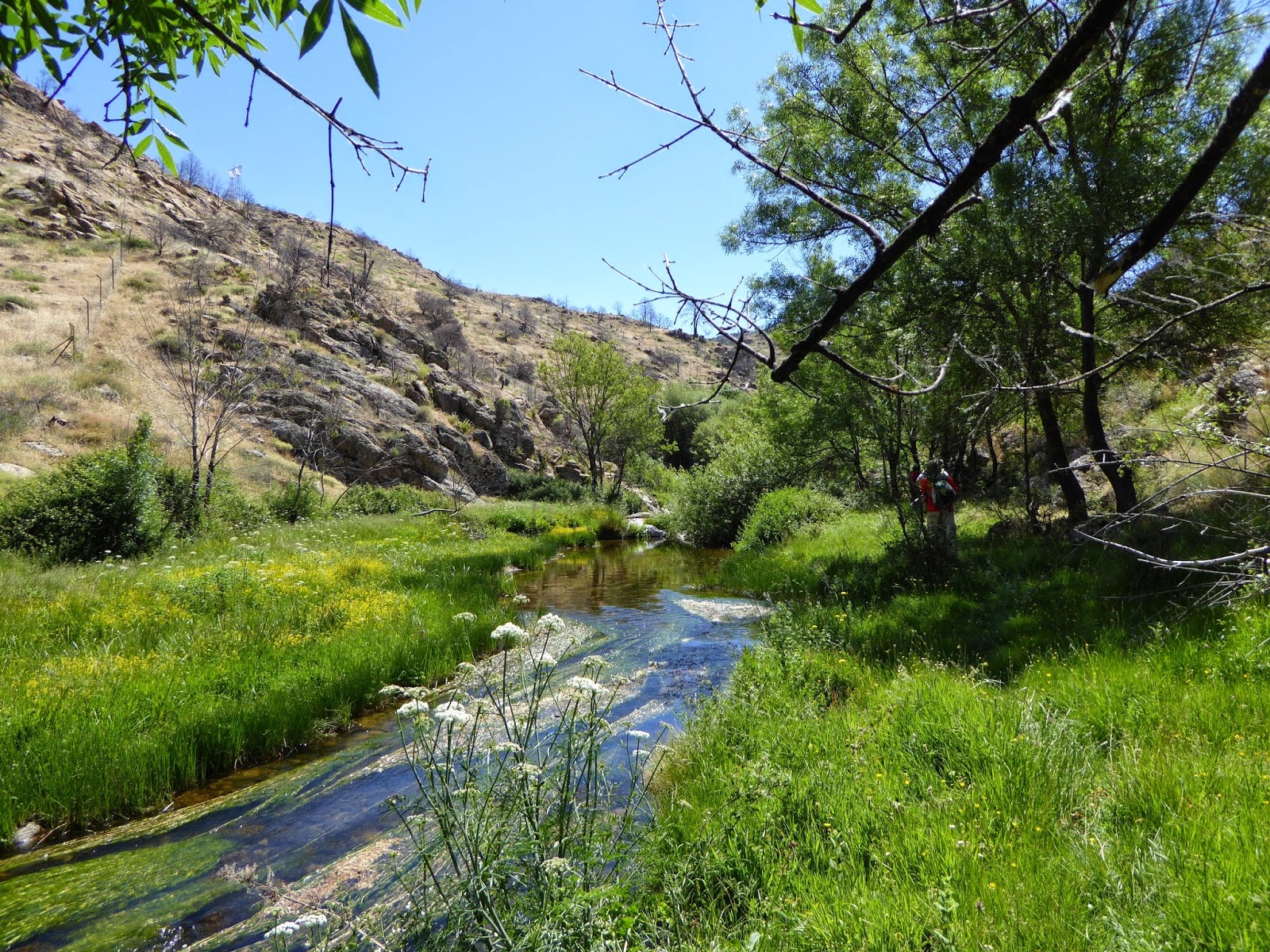 Grupo Mágico de Senderismo Miércoles con Antonio: Excursión 238: Río Cofio