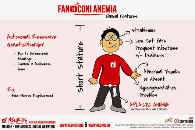 USMLE COMLEX Study Guides : First Aid Renal Physiology Part ll