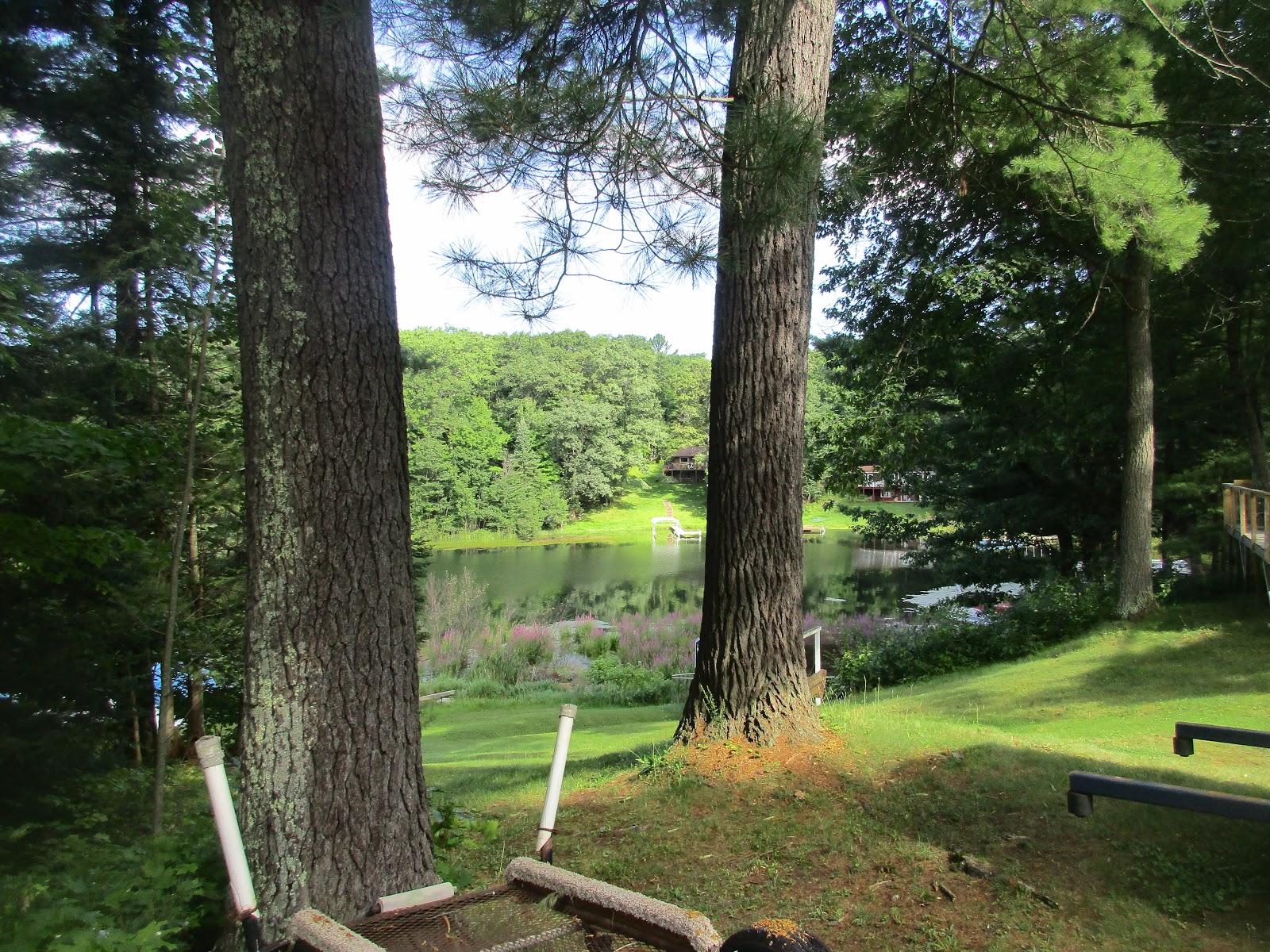 Dave's Yak Tales: Day 2 at Little Spider Lake