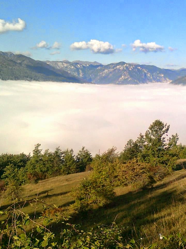 Cudesna priroda sjevera Crne Gore: DIVLJA PRIRODA - WILD NATURE