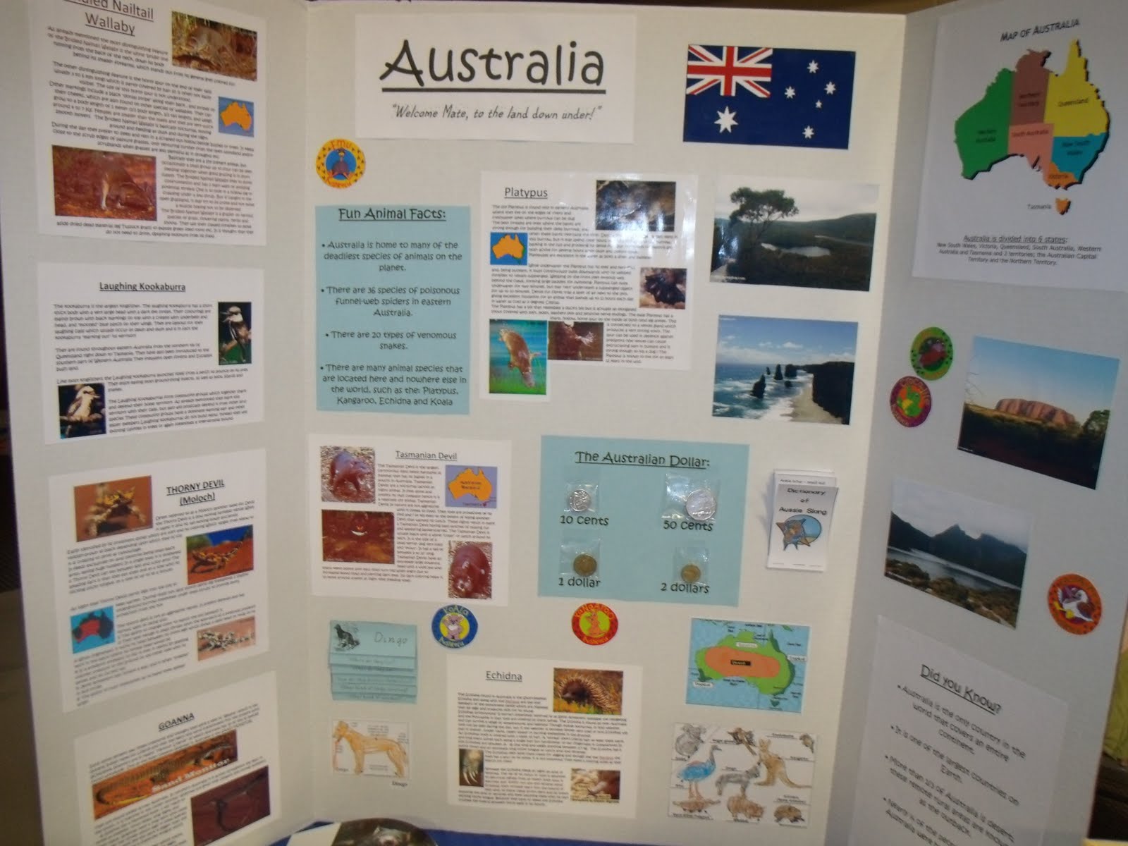 My 2 SMALL Boys: Geography Fair!