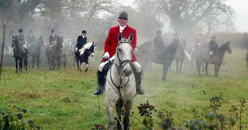 Terrierman's Daily Dose: Mounted Hunts Helped Protect Red Fox