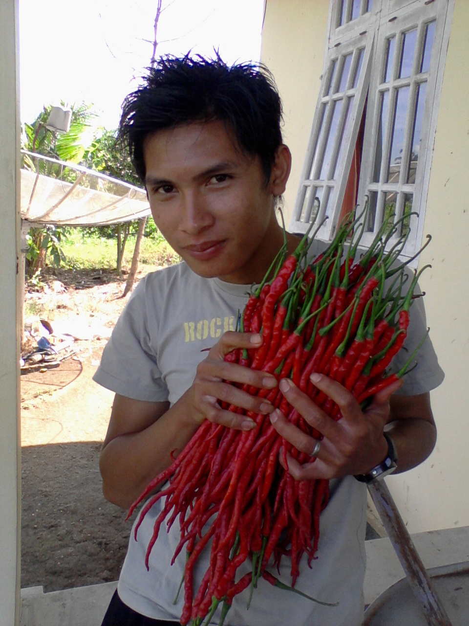 Indonesian Agriculture | Page 6 | SkyscraperCity Forum