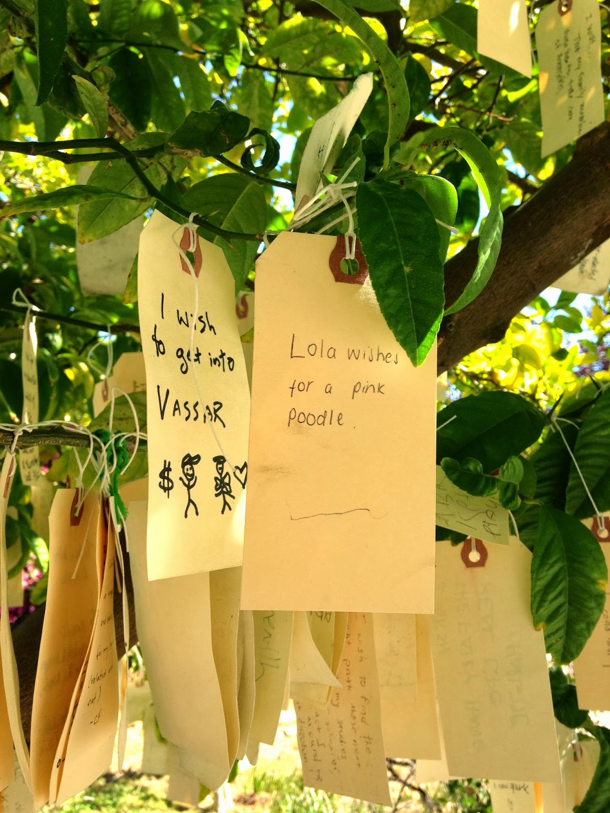 Little Hiccups: The Wishing Tree