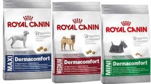 Dogton Abbey - Boarding, Pet Taxi, Pet Relocation, Grooming, Dog Food ...