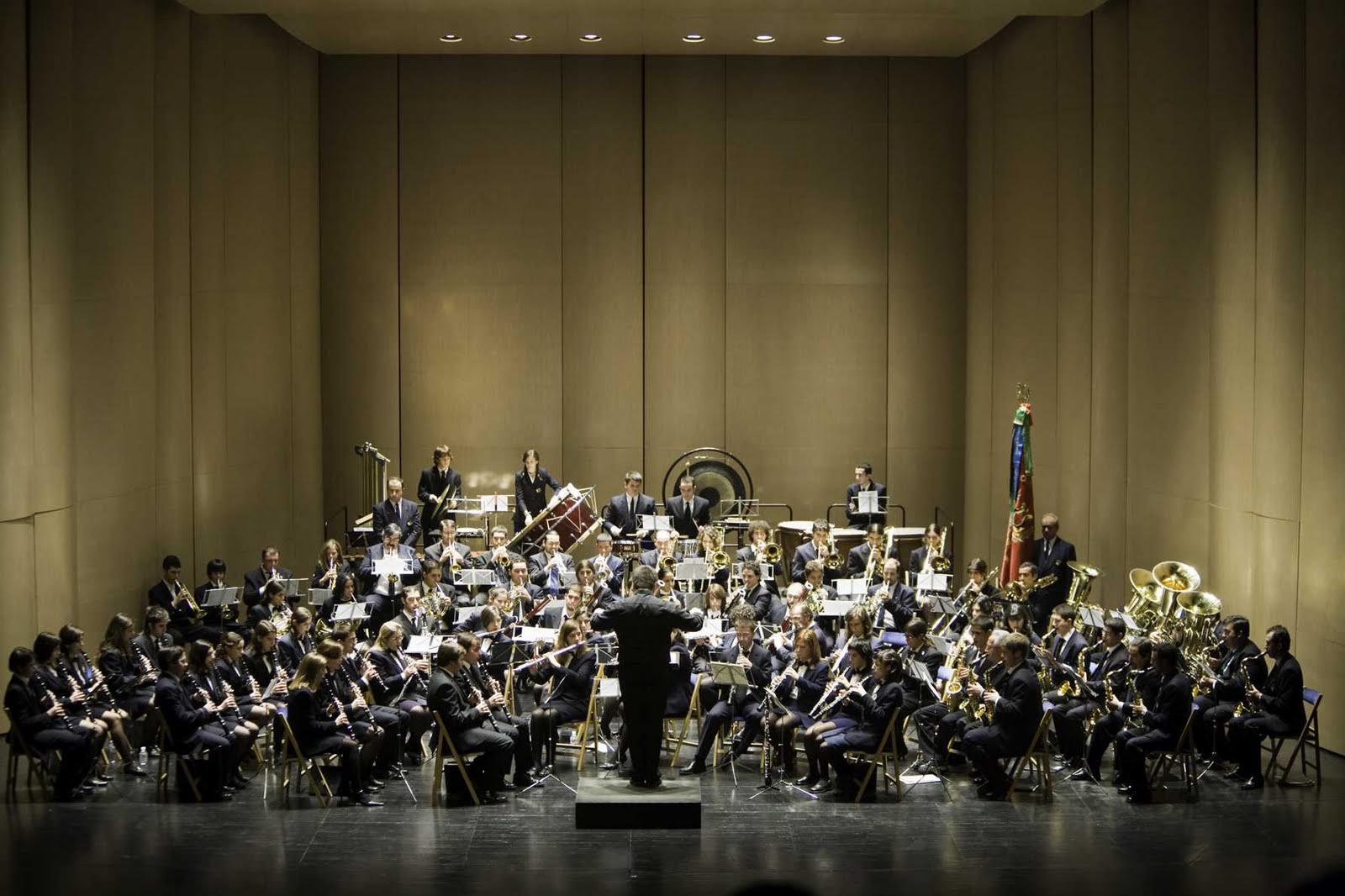 Banda Sinfónica del Municipio de Uramita: Qué es una Banda Sinfónica?