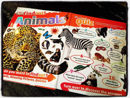 The Library Voice: DK Find Out Is Not Just A Website! There Are Now DK ...