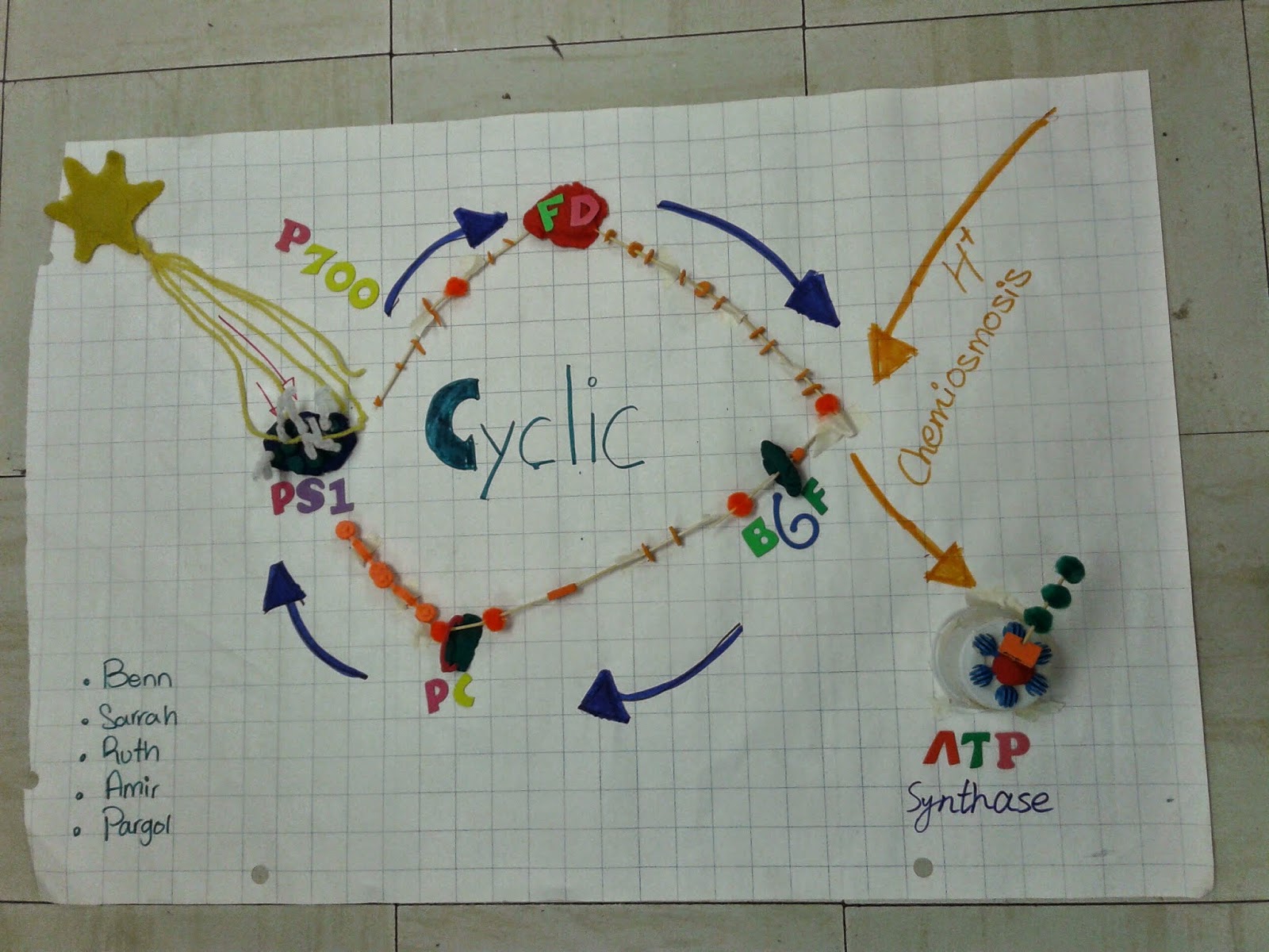 Biology Blog Photosynthesis And Cellular Respiration biology-blog-photosynthesis-and-cellular-respiration