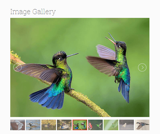 6 Lightweight Jquery Slider Plugins Learning Jquery
