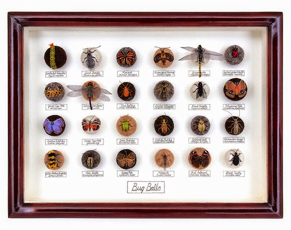 Bichólogo: HILANDO INSECTOS Y COLECCIONES ENTOMOLÓGICAS