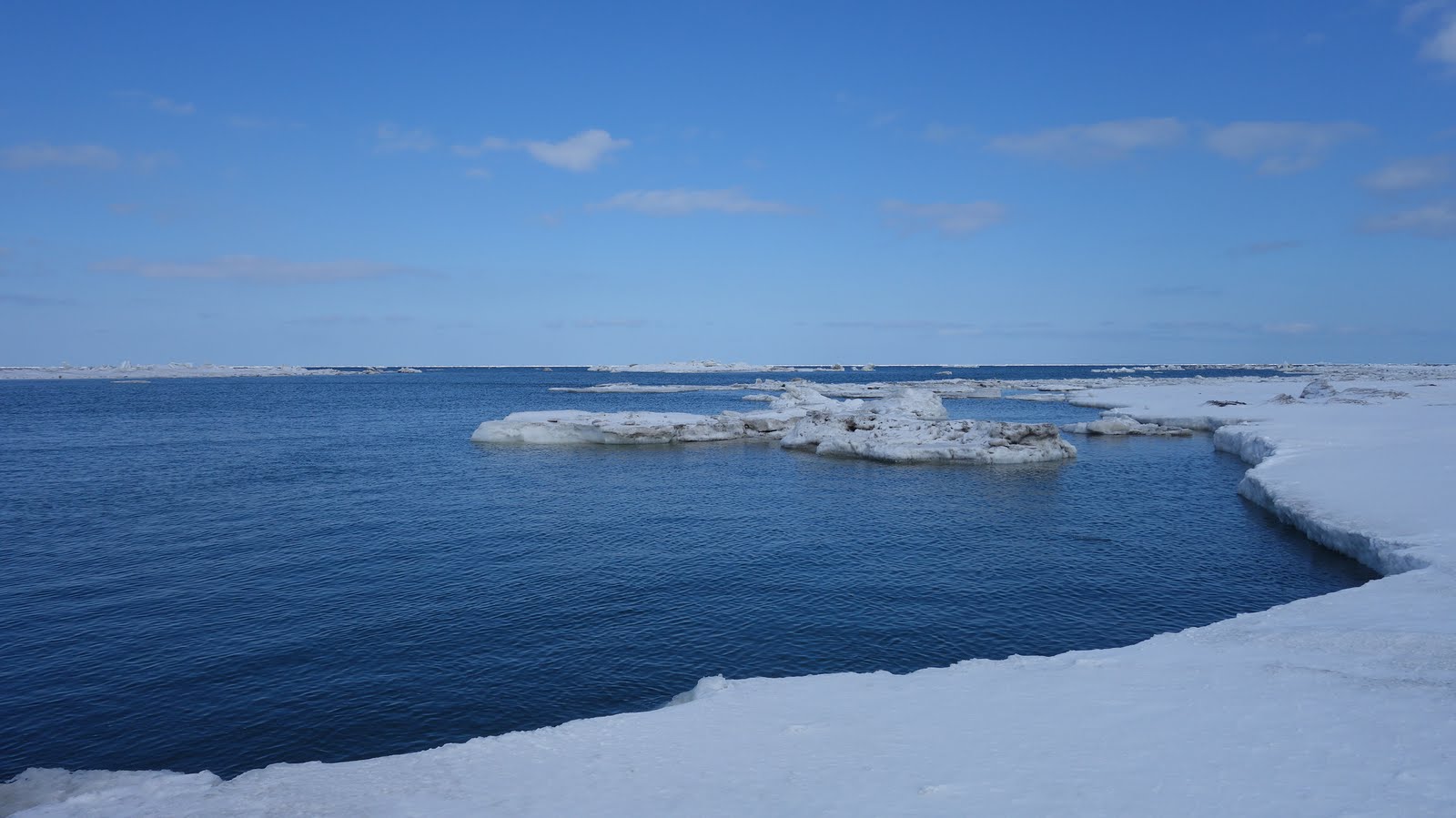Abeto-cono: Pesca en isla Sajalin