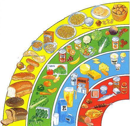 MissPopotte: Groupes Alimentaires