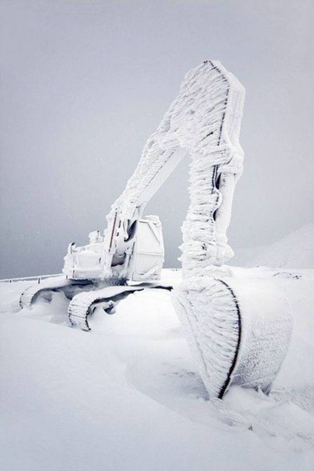 MUZAK-THE ONE AND ONLY: Strong Photography