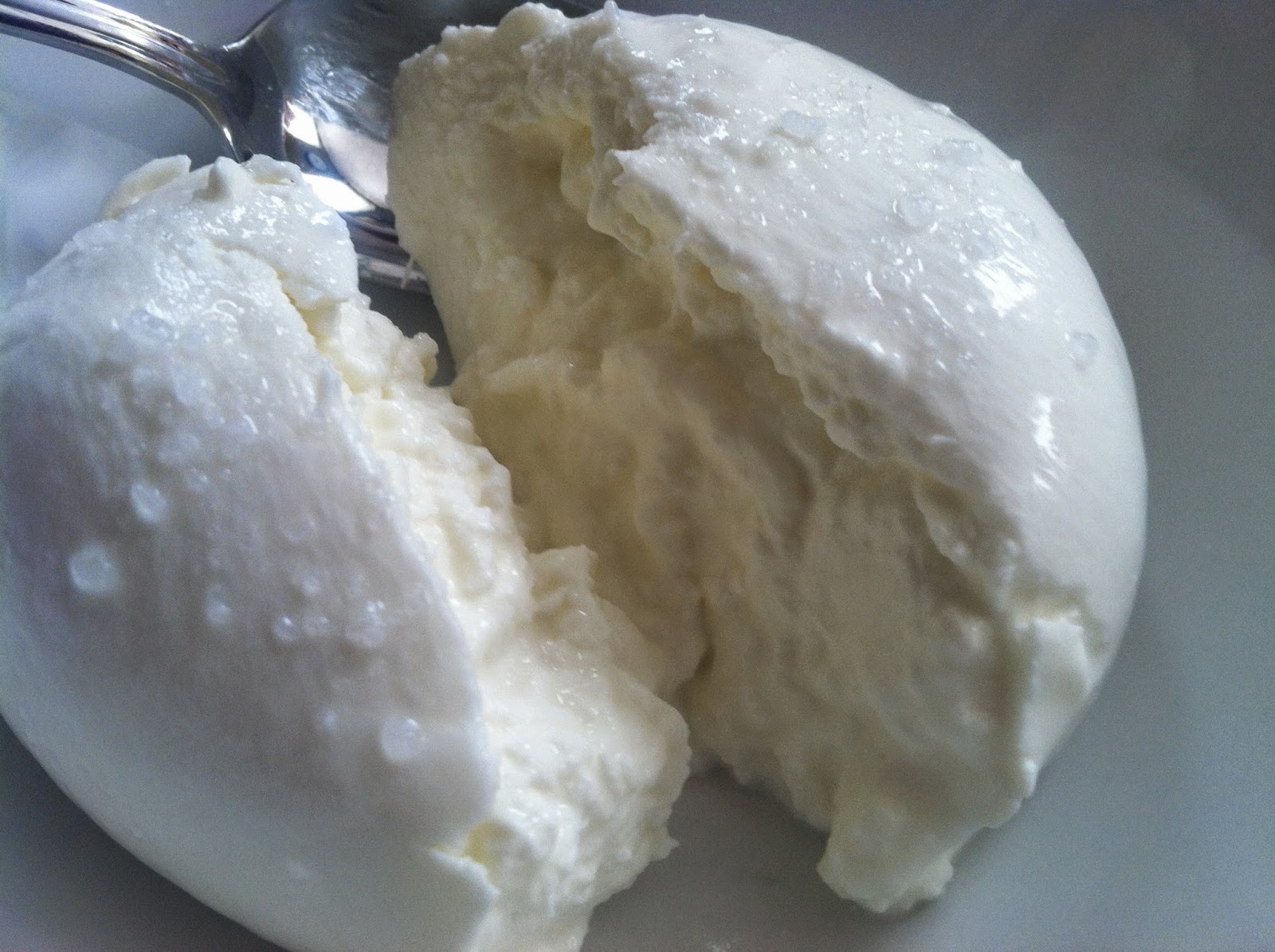 Burrata: The It-Cheese of the Summer