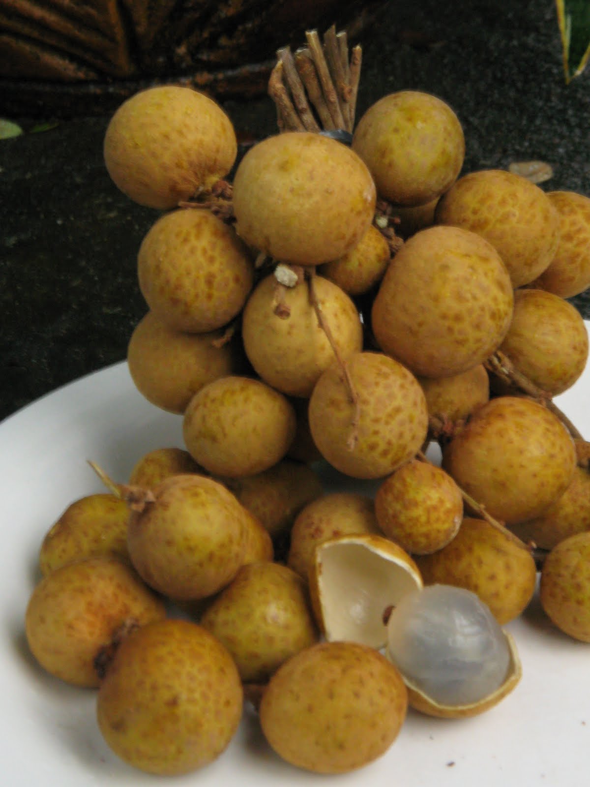 bucaio: Rainy Season Fruits