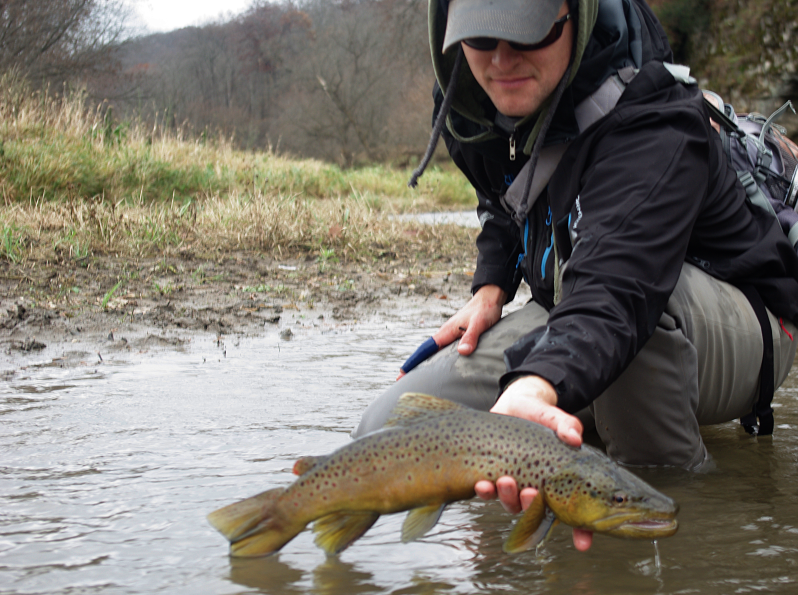 Currents: Swinging for Trout